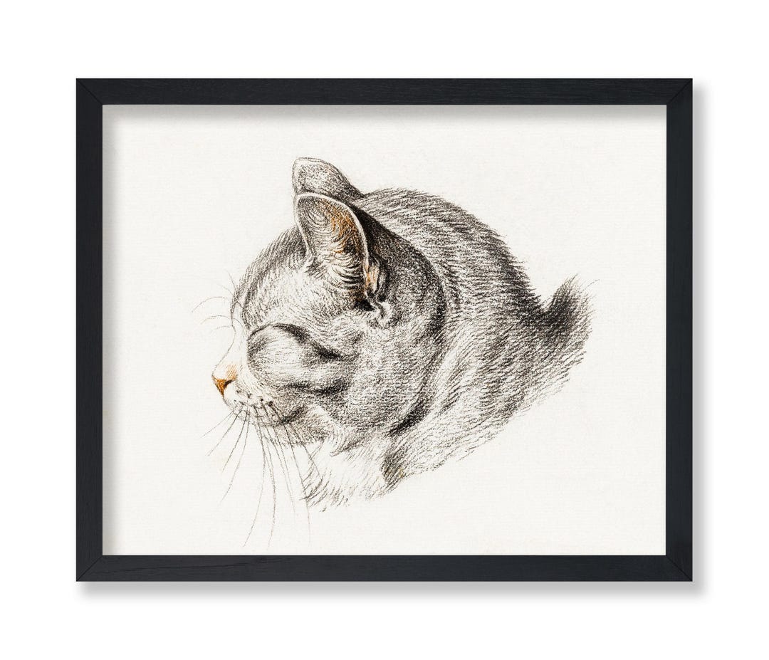 Vintage Sketch of A Cat Poster - Retro Cat Portrait Print - Cat Art ...