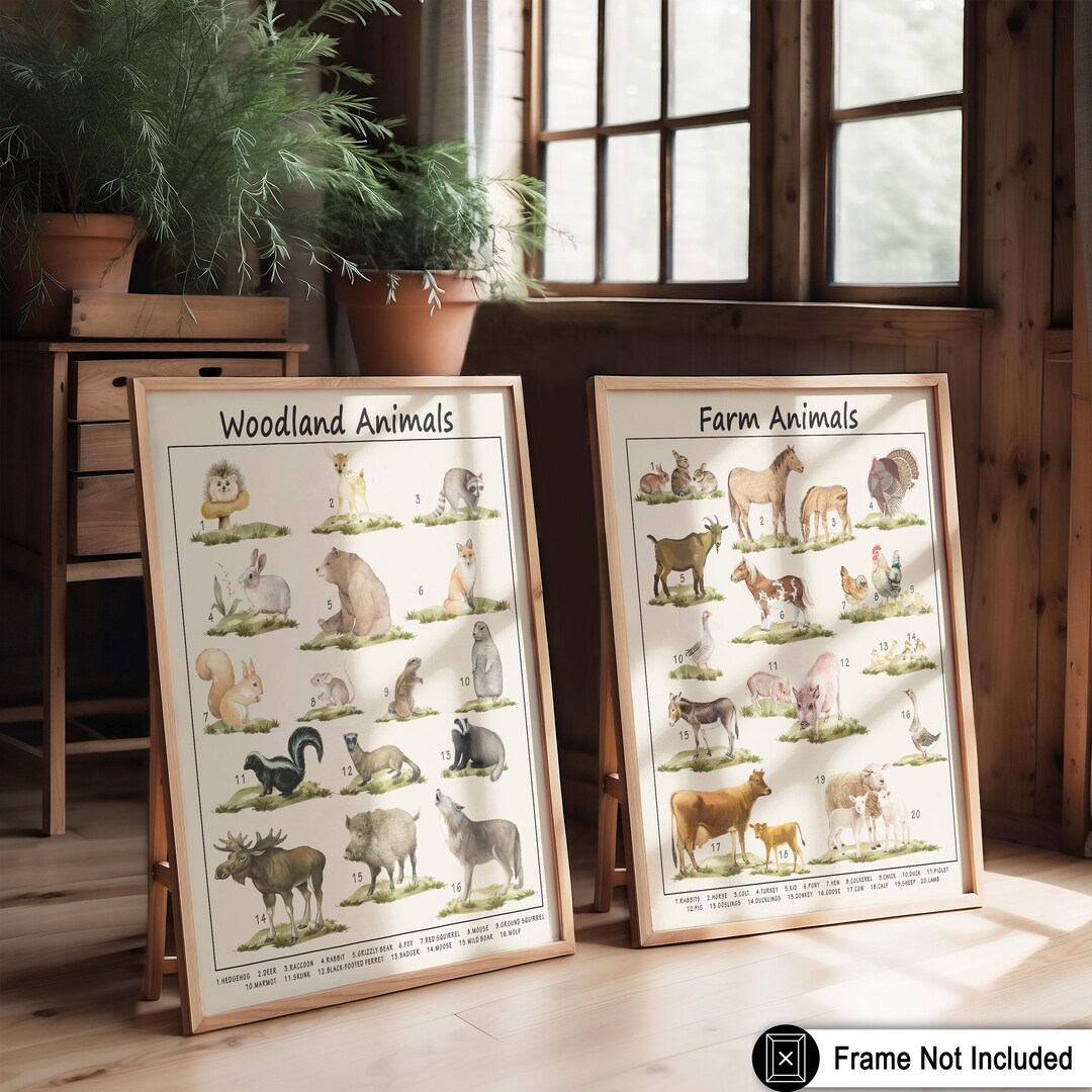 2-piece Woodlands & Farm Animals Poster - Educational Print - Learning ...