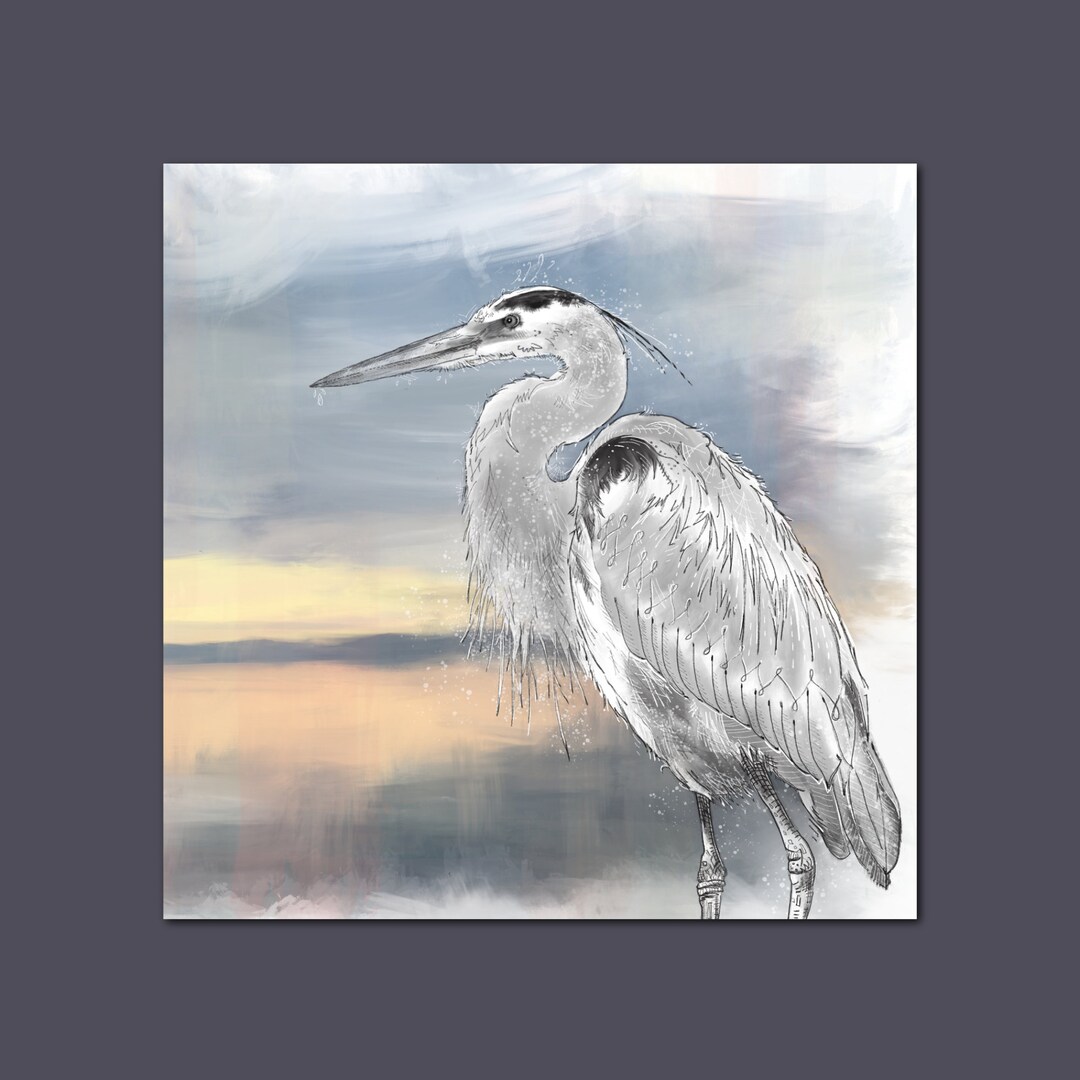 Heron Card SQ22 / British Coastal Birds / Bird Greetings Card ...