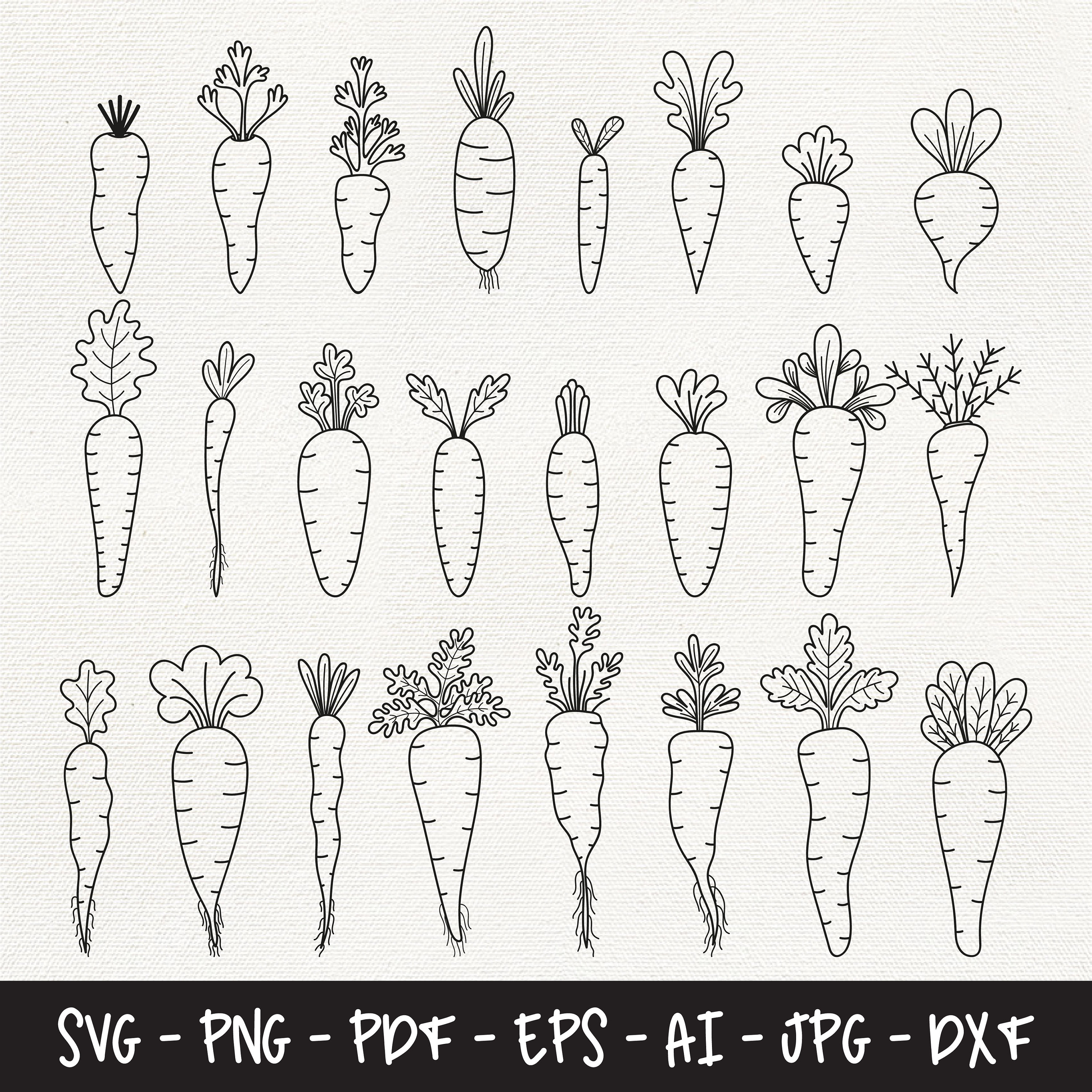 Carrot Bundle Svg, Carrot Clipart, Vegetable Svg, Kitchen Svg, Easter ...