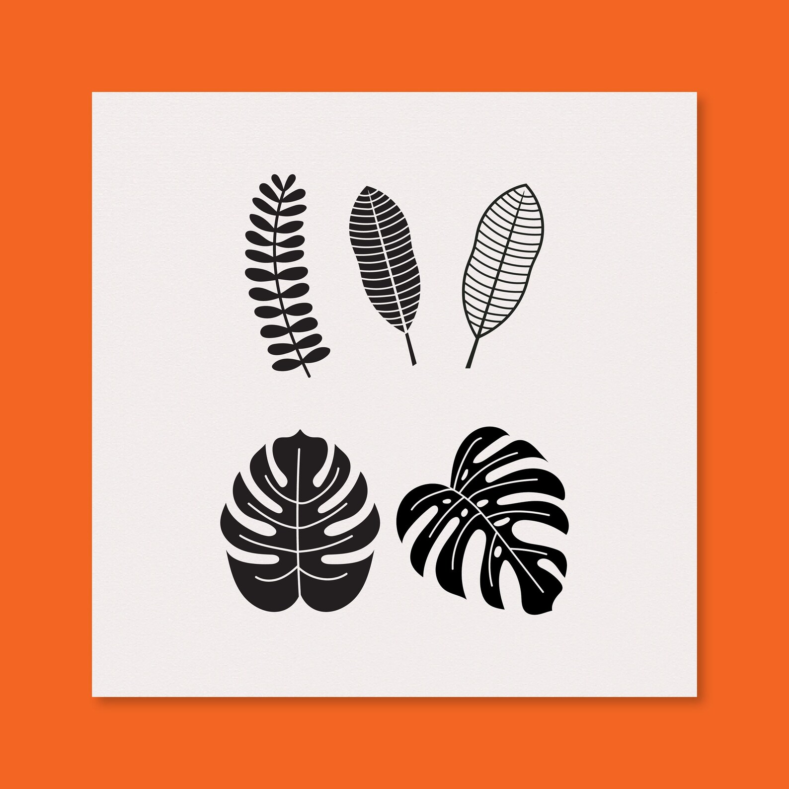 Tropical Leaves Procreate Brushes Bundle, Photoshop Brushes, ABR Stamps ...