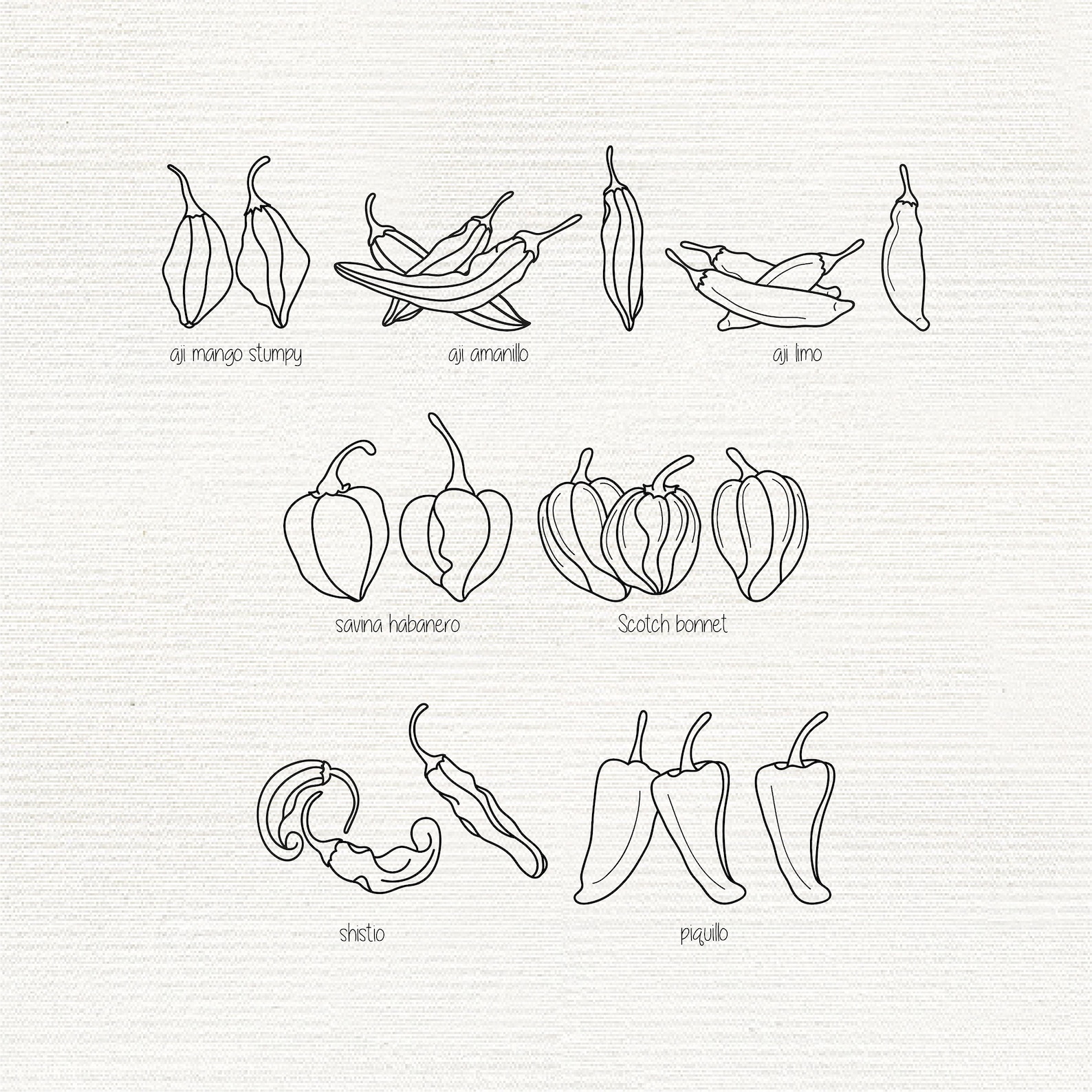 Pepper Svg Bundle, Kitchen Spices Svg, Chilli Pepper Svg, Jalapeno Svg ...