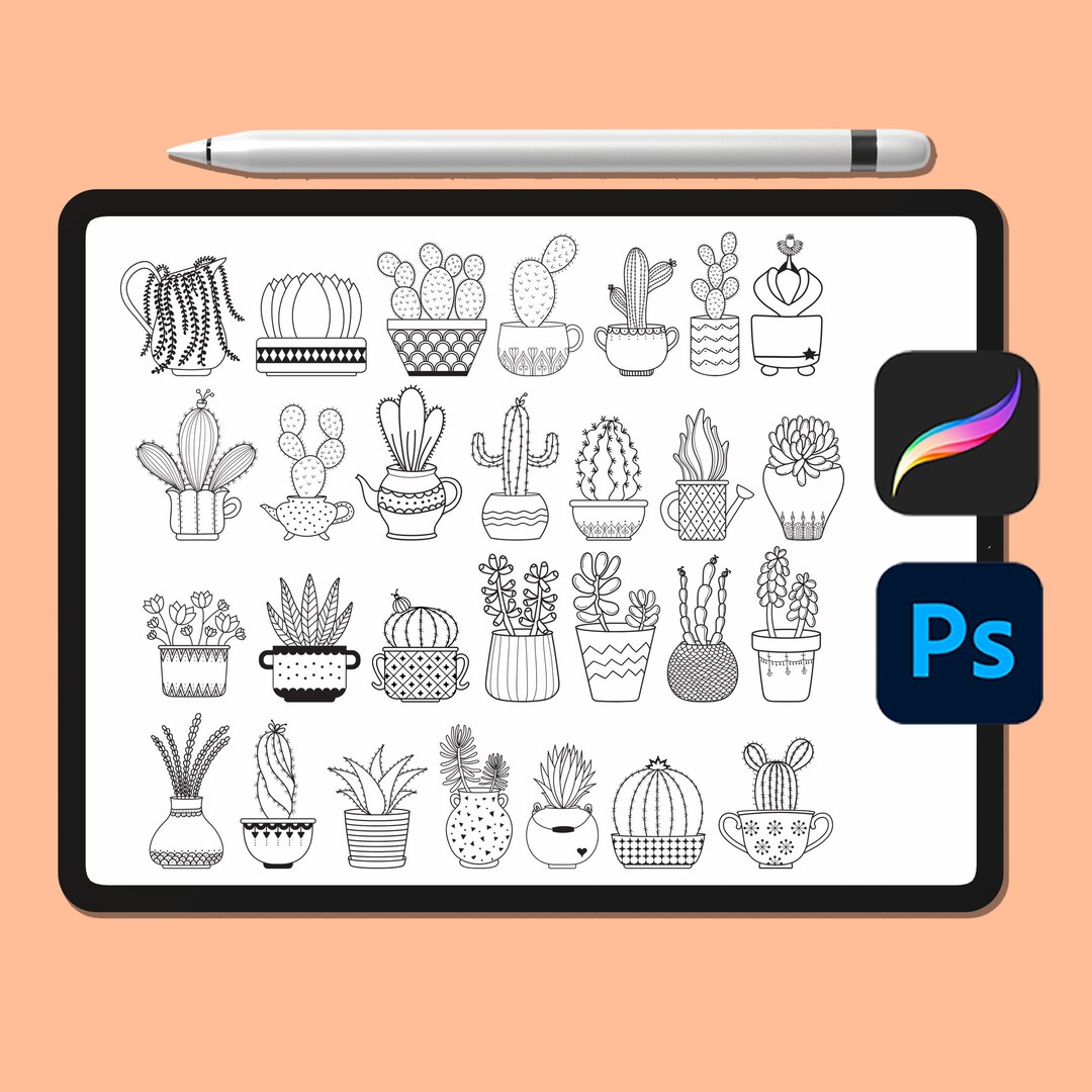 Cactus Procreate Brushes Bundle, Photoshop Brushes, Succulents Stamps, Potted Plants Brushes ...