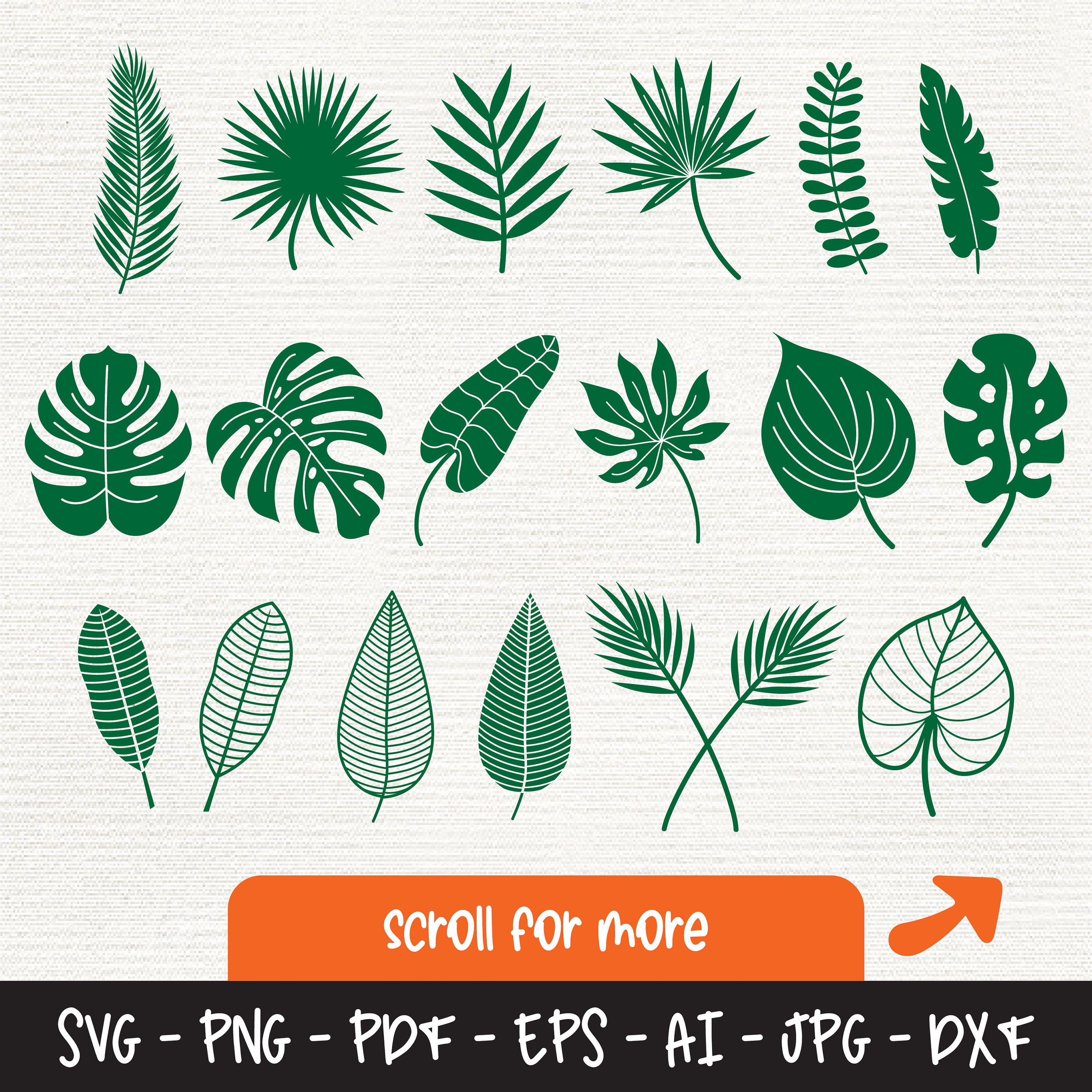 Tropical Leaves Svg Bundle, Exotic Tropical Leaves Clipart, Monstera Leaf Svg, Jungle Leaves Svg ...
