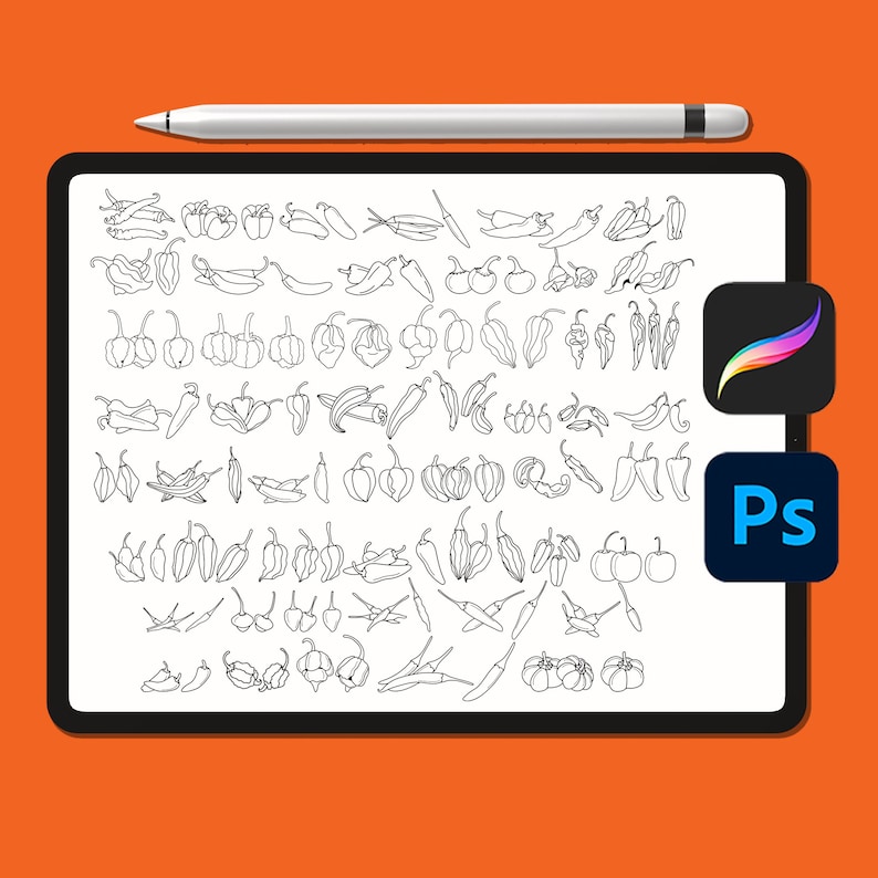 Pepper Procreate & Photoshop Brushes: Kitchen Stamps Brushset (digital ...