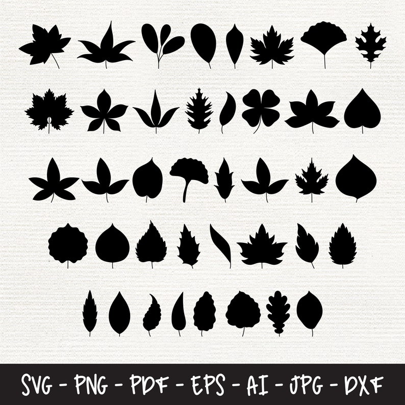 Leaves Svg Bundle Part 2, Leaf Svg, Leaves Clipart, DXF Files for Laser ...