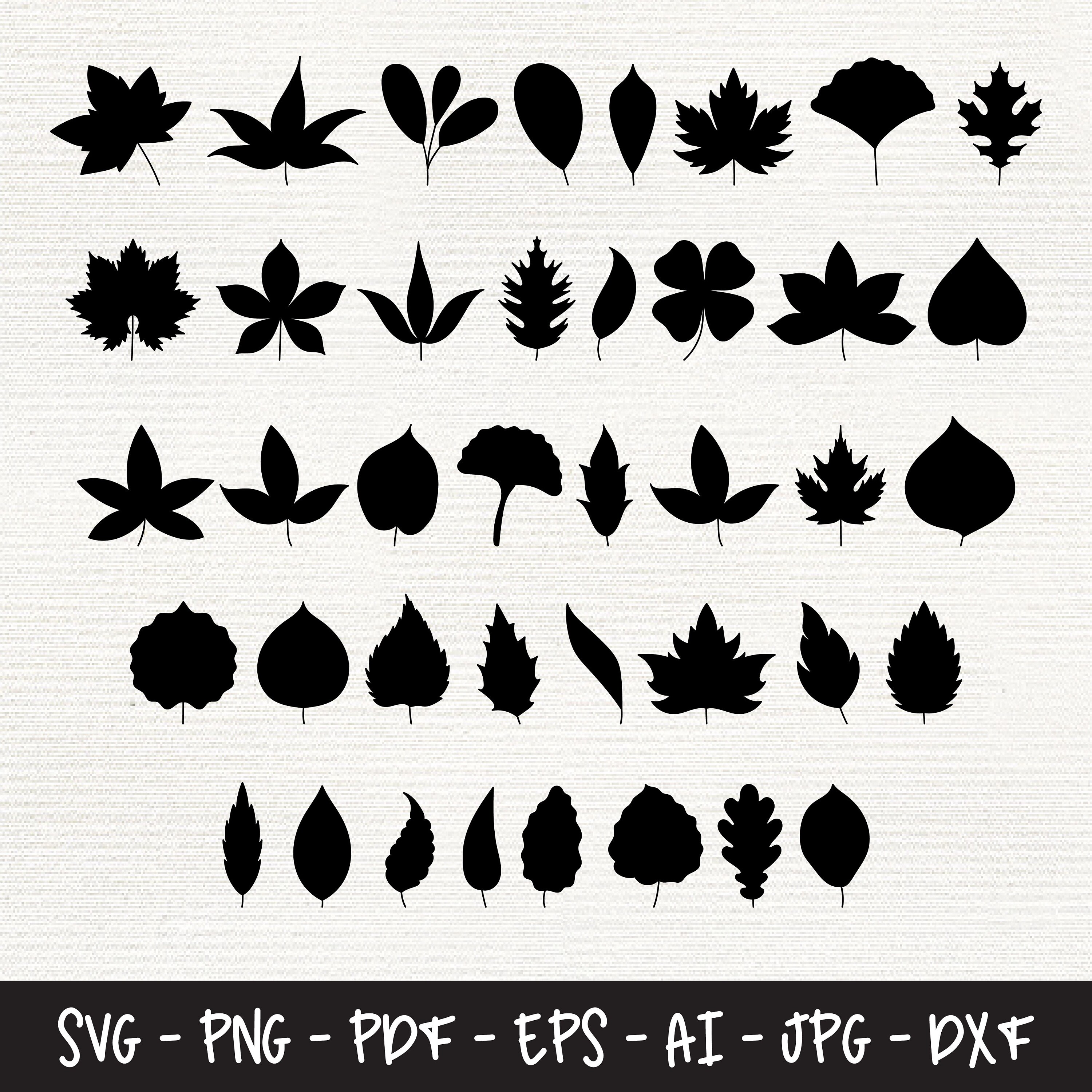 Leaves Svg Bundle Part 2, Leaf Svg, Leaves Clipart, DXF Files for Laser ...