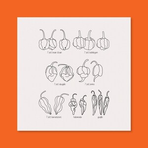 Pepper Procreate & Photoshop Brushes: Kitchen Stamps Brushset (digital ...