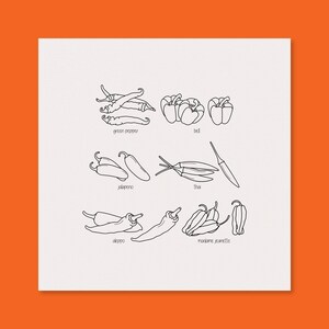 Pepper Procreate & Photoshop Brushes: Kitchen Stamps Brushset (digital ...