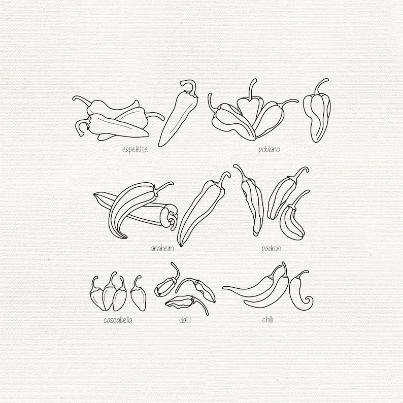 Pepper Svg Bundle, Kitchen Spices Svg, Chilli Pepper Svg, Jalapeno Svg ...