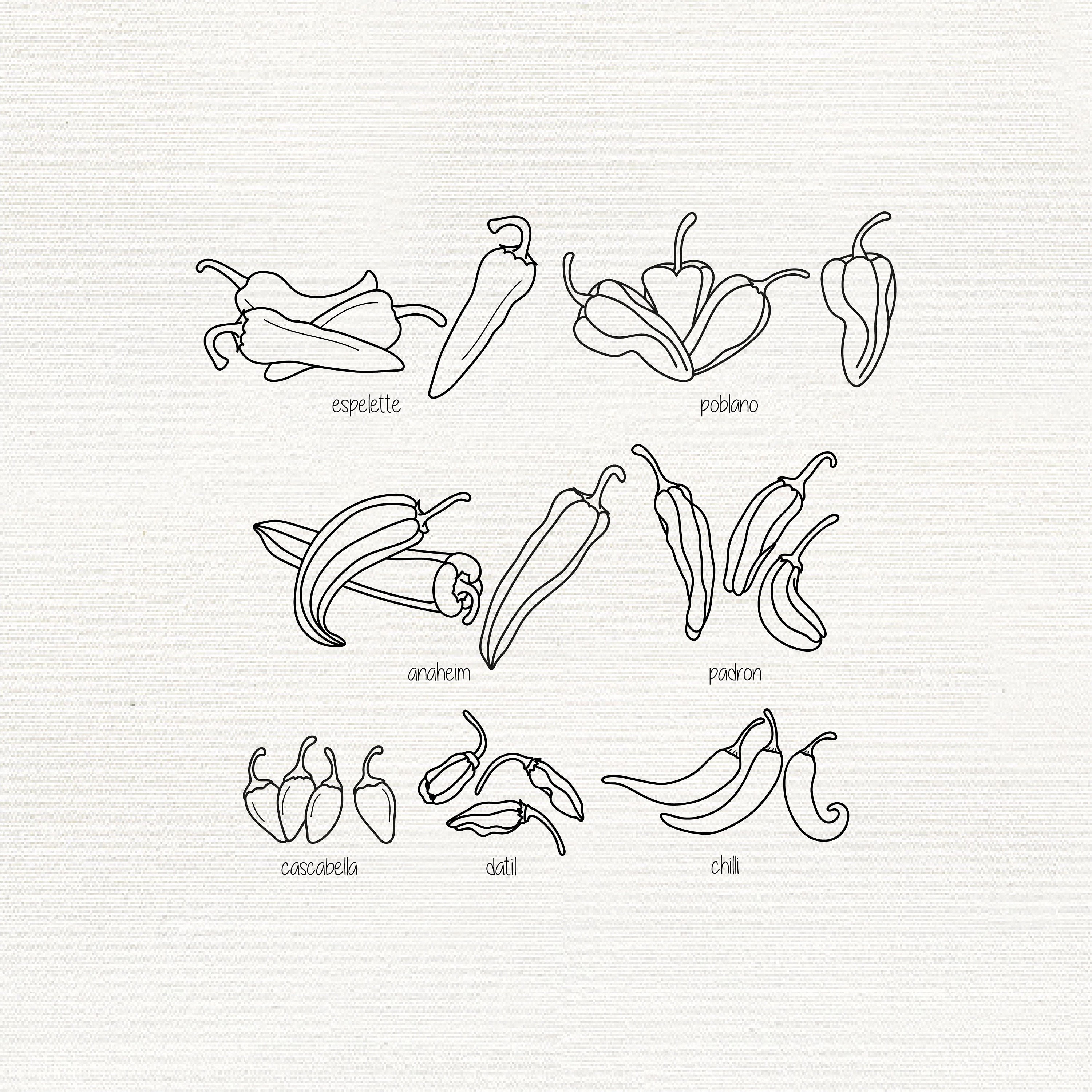 Pepper SVG Bundle: Kitchen Spices, Chilli, Jalapeno (digital Download ...