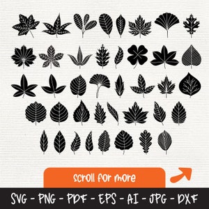 Leaf SVG Bundle: Botanical Clip Art, Laser Cut Files (digital Download ...