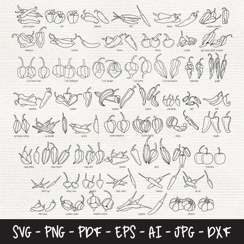Pepper Svg Bundle, Kitchen Spices Svg, Chilli Pepper Svg, Jalapeno Svg ...