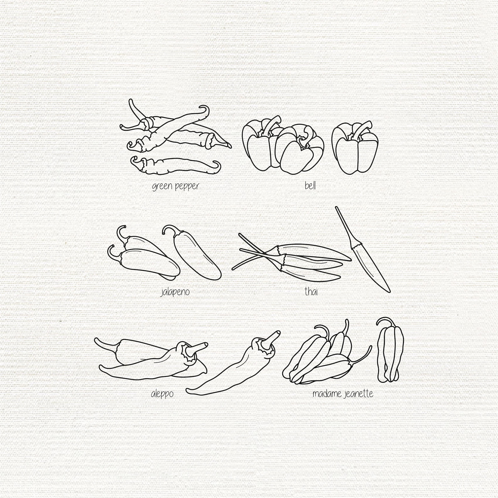 Pepper Svg Bundle, Kitchen Spices Svg, Chilli Pepper Svg, Jalapeno Svg ...