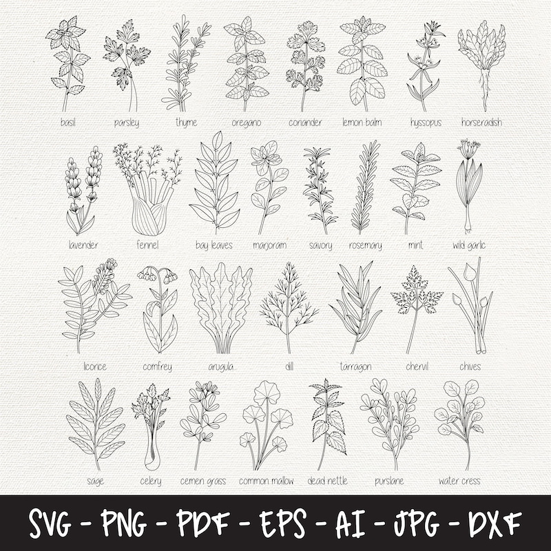 Herb Leaf Tool Svg - Etsy