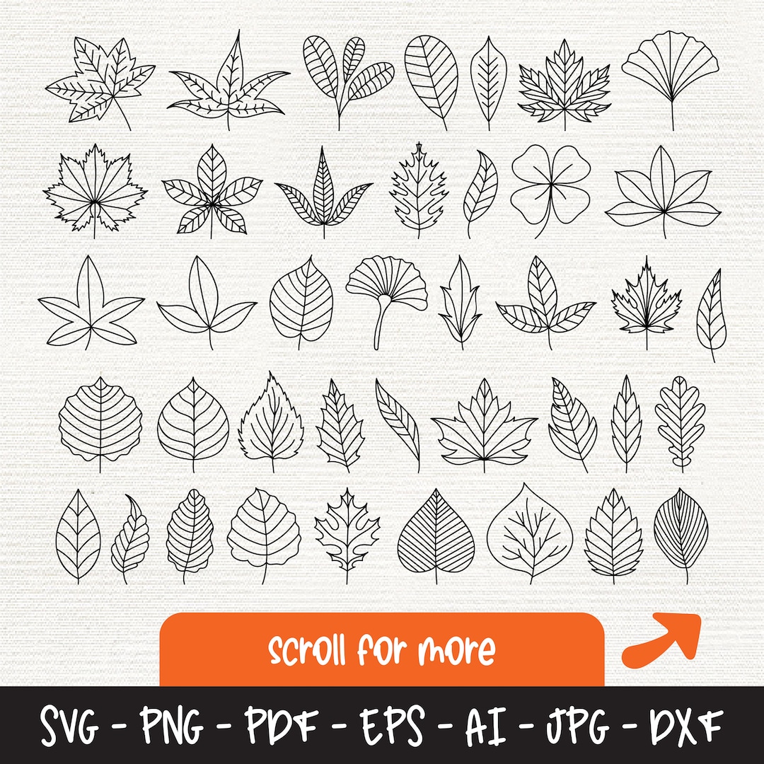Leaves Svg Bundle Part 2, Leaf Svg, Leaves Clipart, DXF Files for Laser ...