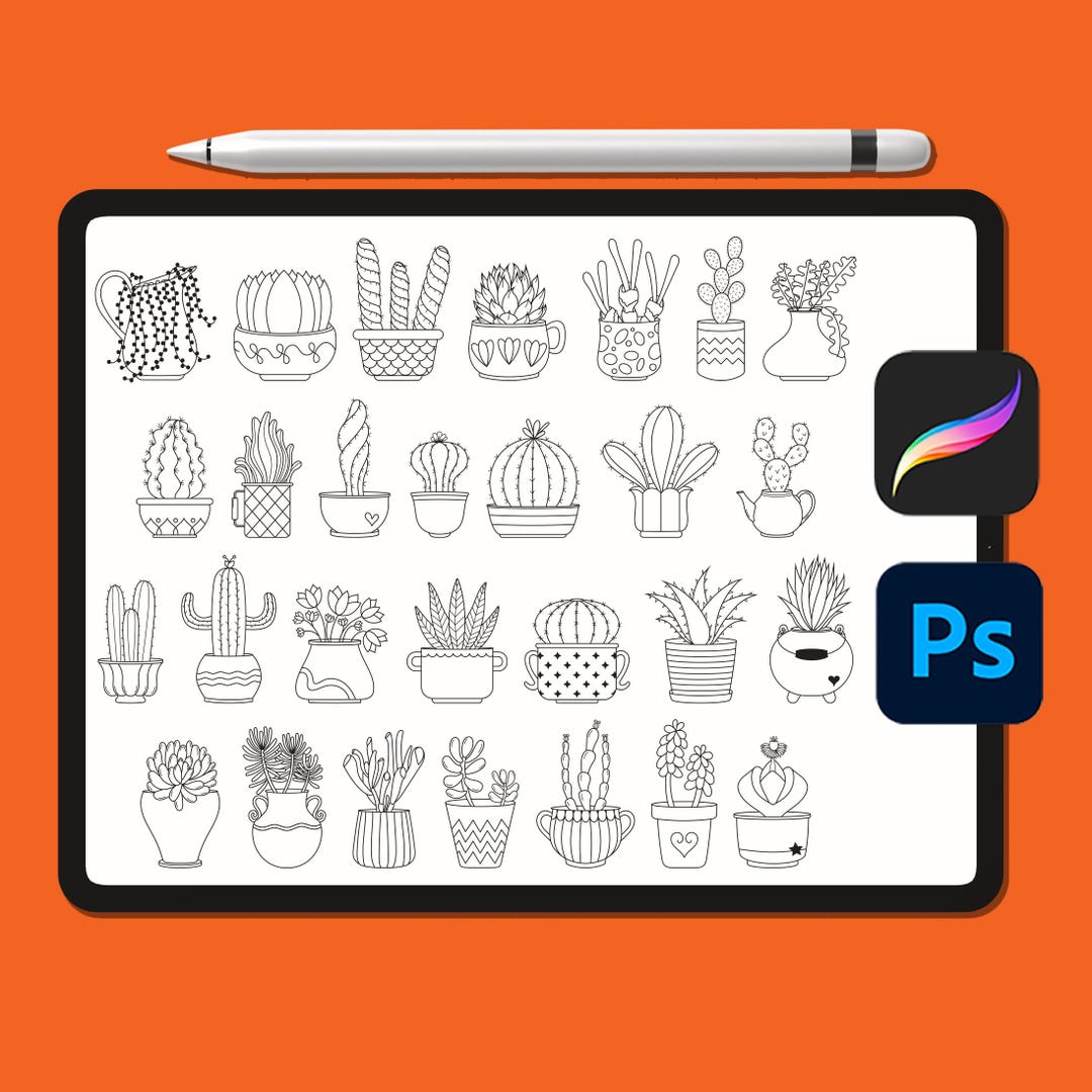 Cactus Procreate Brushes, Succulent Stamps, Plant Brushset (digital ...