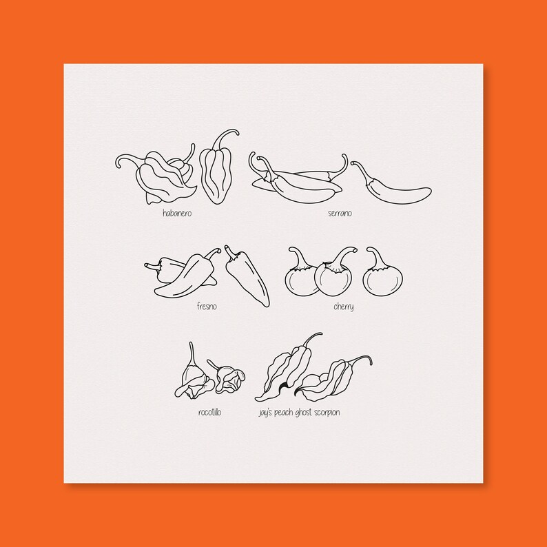 Pepper Procreate & Photoshop Brushes: Kitchen Stamps Brushset (digital ...