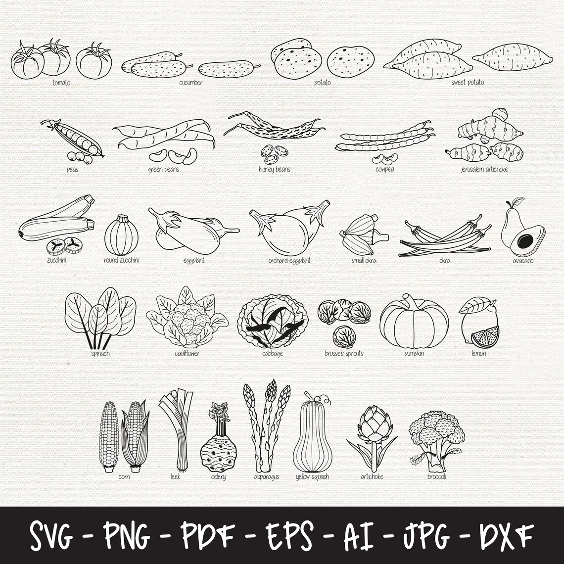 Vegetable SVG Bundle: Kitchen Spices, Farmhouse Labels (digital ...