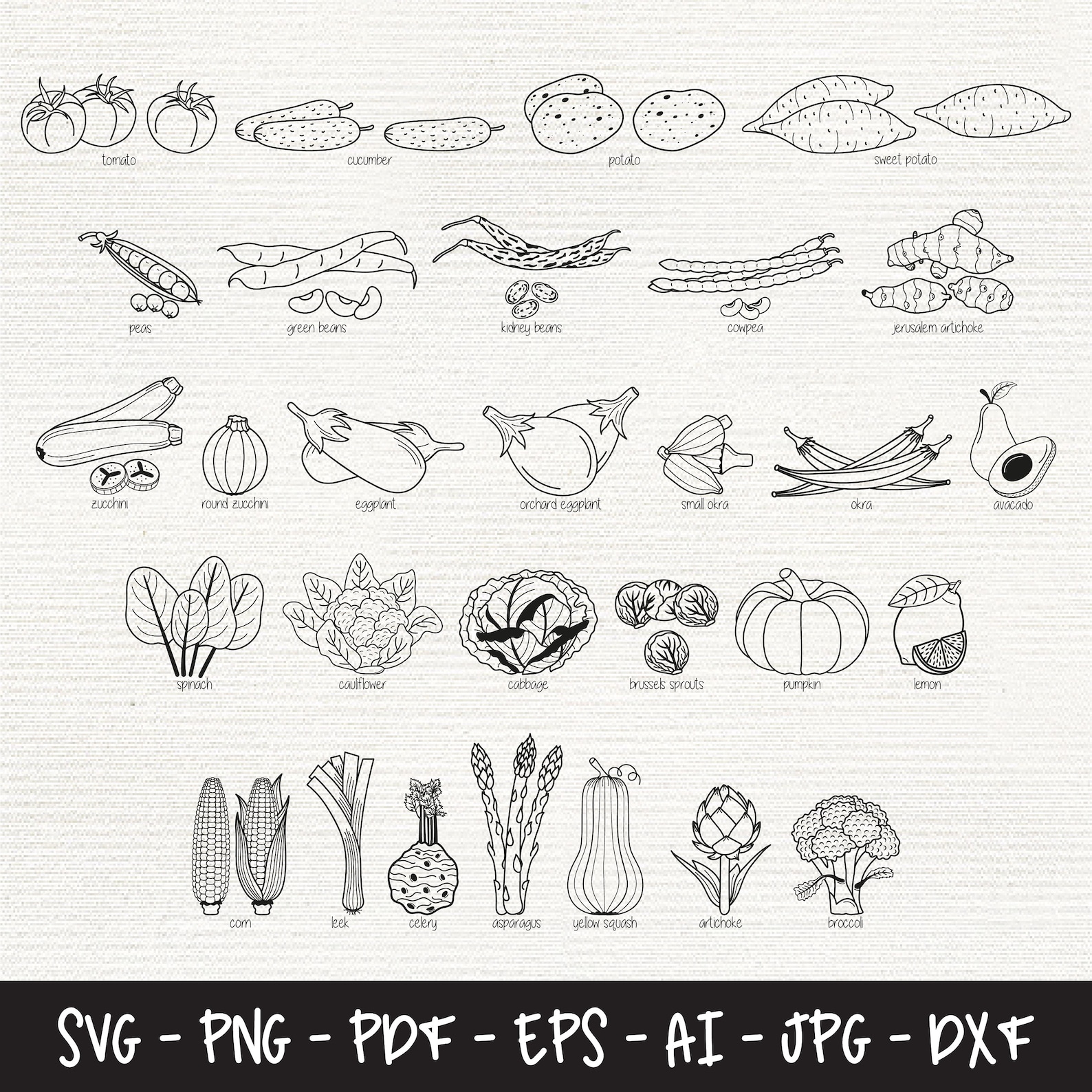 Vegetable Svg Bundle, Kitchen Spices Svg, Farmhouse Svg, Healthy Food ...