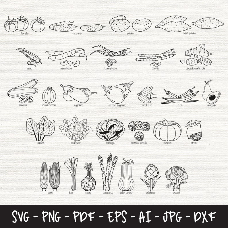 Vegetable SVG Bundle: Kitchen Spices, Farmhouse Labels (digital ...