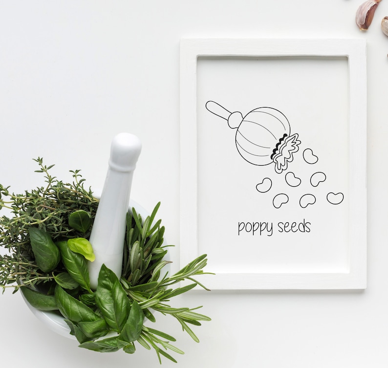 Spice SVG Bundle: Kitchen Herb Labels, Laser Cut Files (digital ...