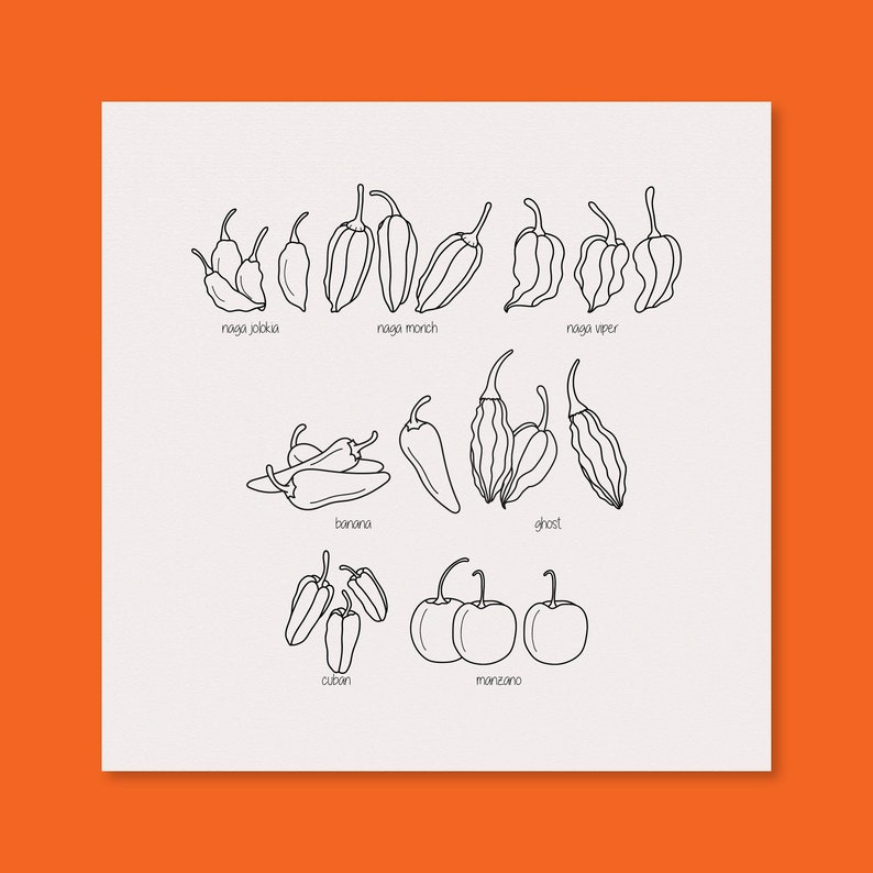 Pepper Procreate & Photoshop Brushes: Kitchen Stamps Brushset (digital ...
