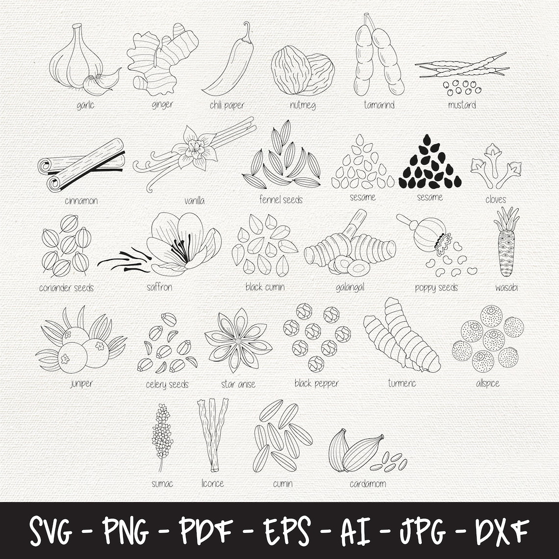 Spice SVG Bundle: Kitchen Herb Labels, Laser Cut Files (digital ...