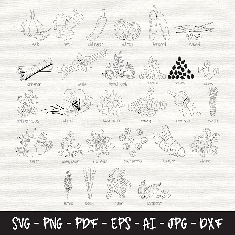 Spice SVG Bundle: Kitchen Herb Labels, Laser Cut Files (digital ...