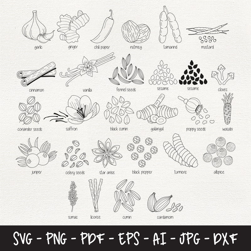 Mccormick Spice Label Template - Etsy