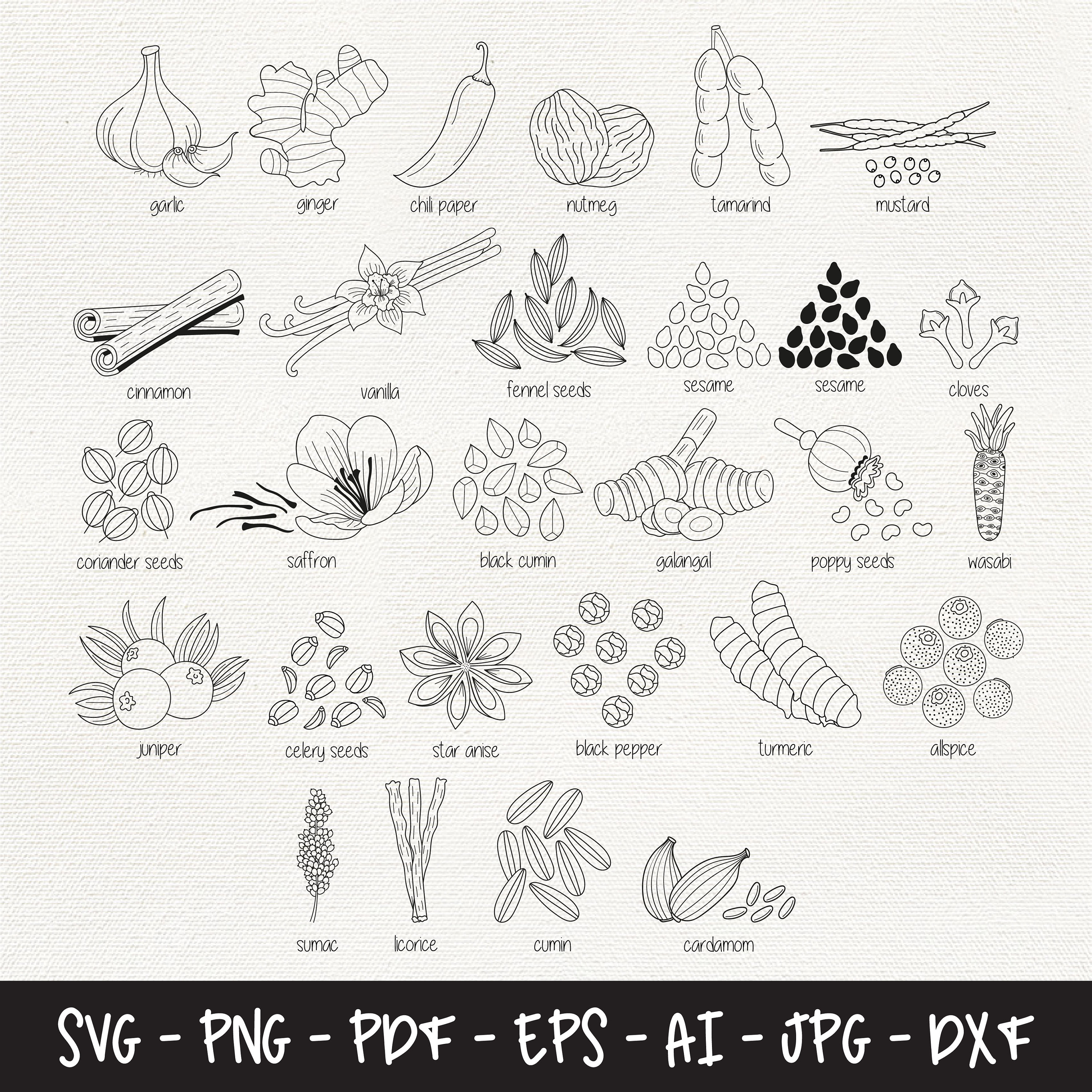Spice SVG Bundle: Kitchen Herb Labels, Laser Cut Files (digital ...