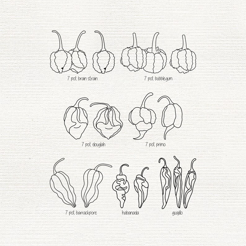 Pepper SVG Bundle: Kitchen Spices, Chilli, Jalapeno (digital Download ...