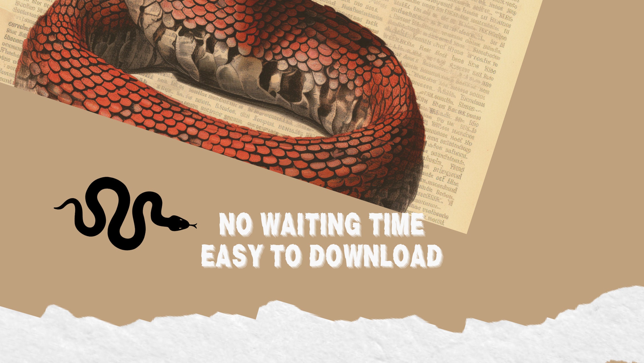 Snakes Vintage Junk Journal Kit Pack of 100 Vintage Images, Degital ...