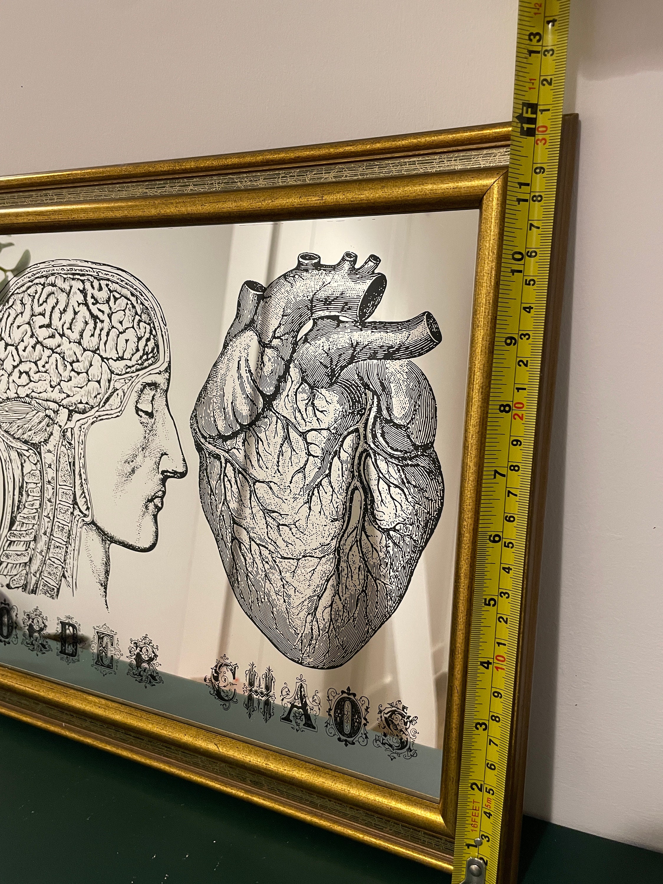 Anatomical Heart Mirror, Brain Heart, Gold Ornate Frame Coquette Decor ...