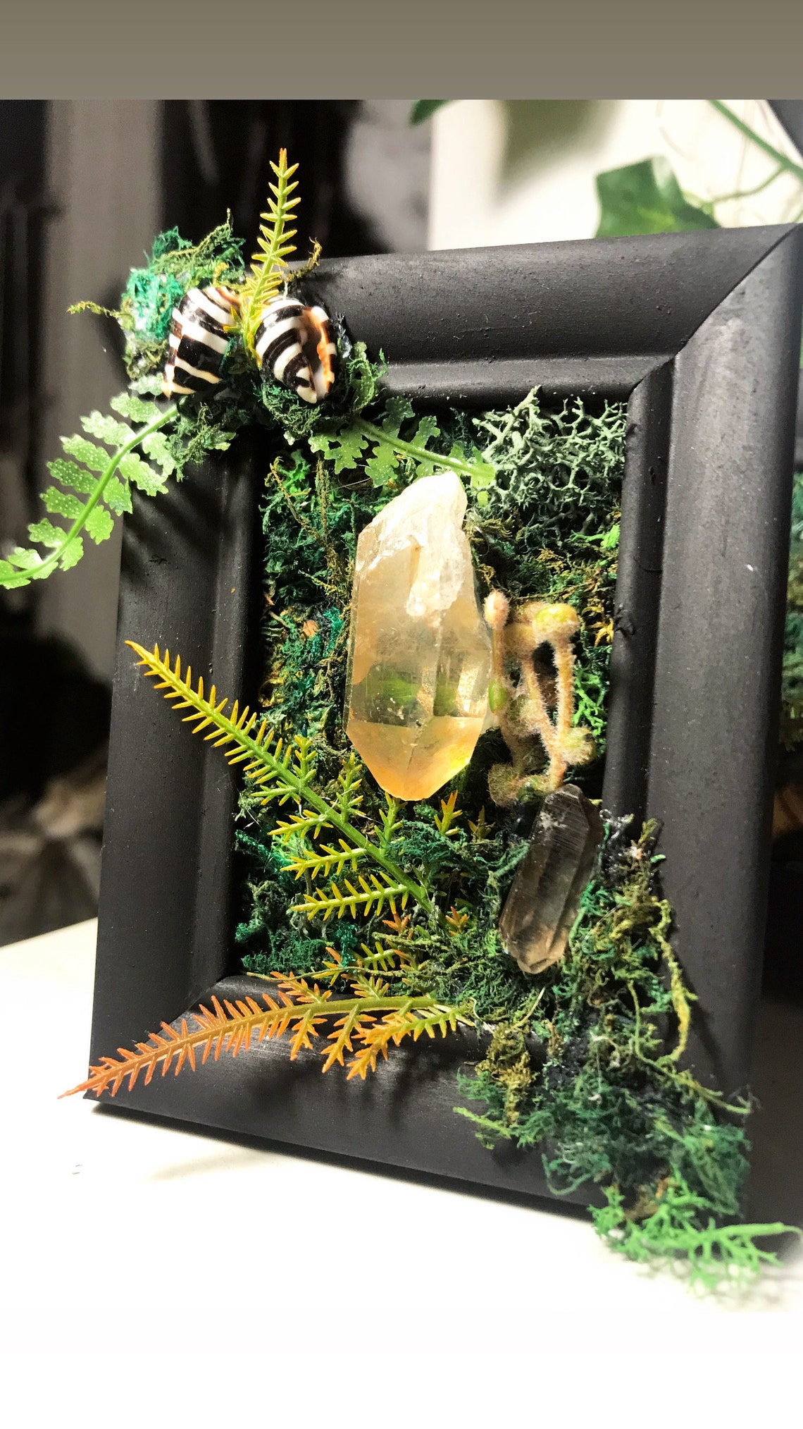 Woodland Foraged Frame Botanical Decor Herb Nature Wall Art Crystal ...