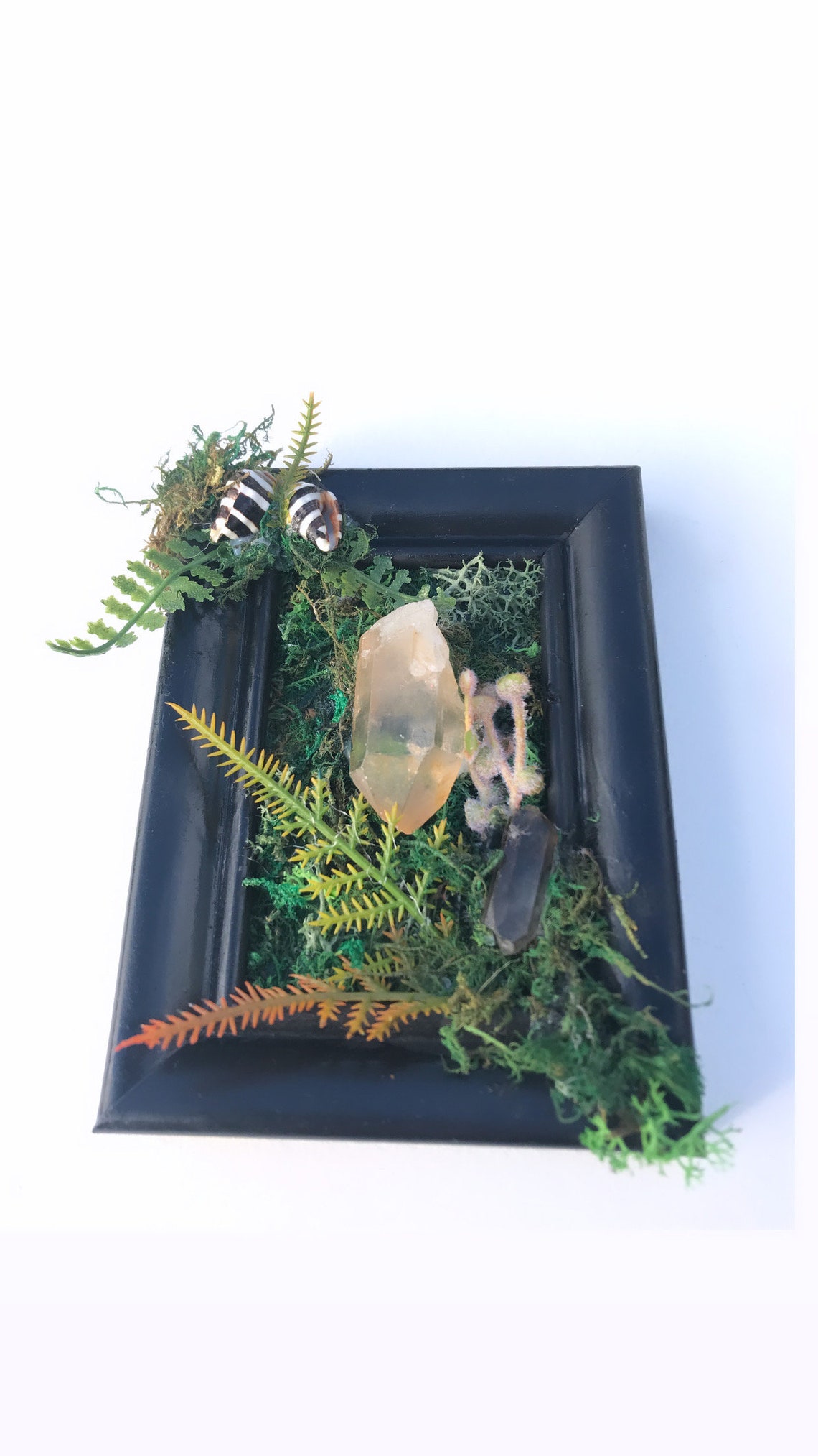 Woodland Foraged Frame Botanical Decor Herb Nature Wall Art Crystal ...