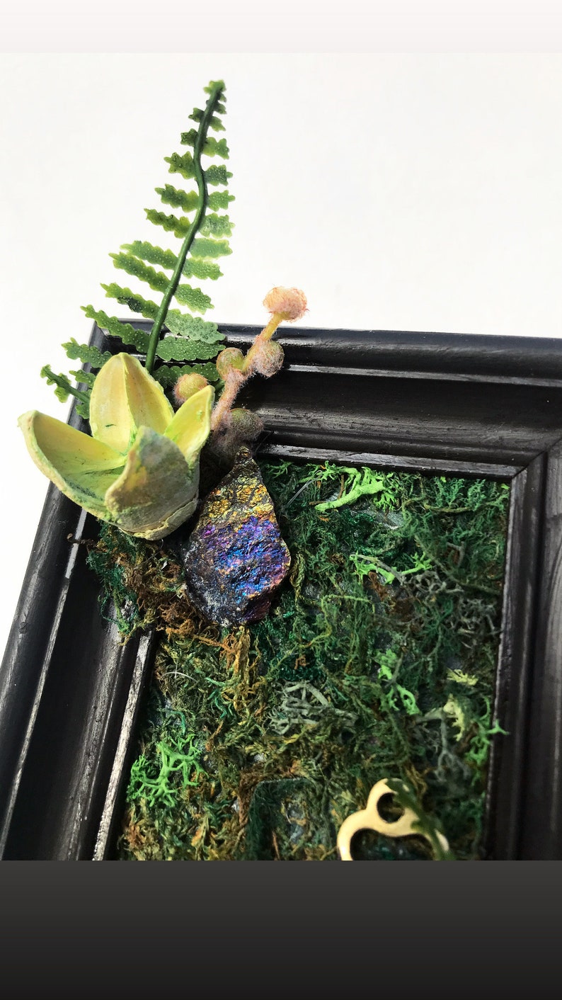 Woodland Foraged Frame Botanical Decor Herb Nature Wall Art - Etsy