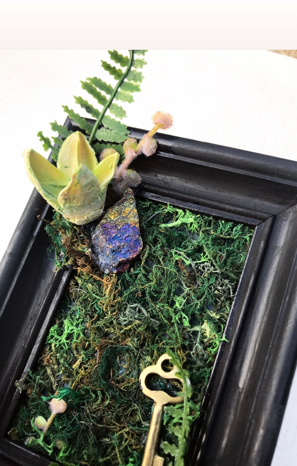 Woodland Foraged Frame Botanical Decor Herb Nature Wall Art - Etsy