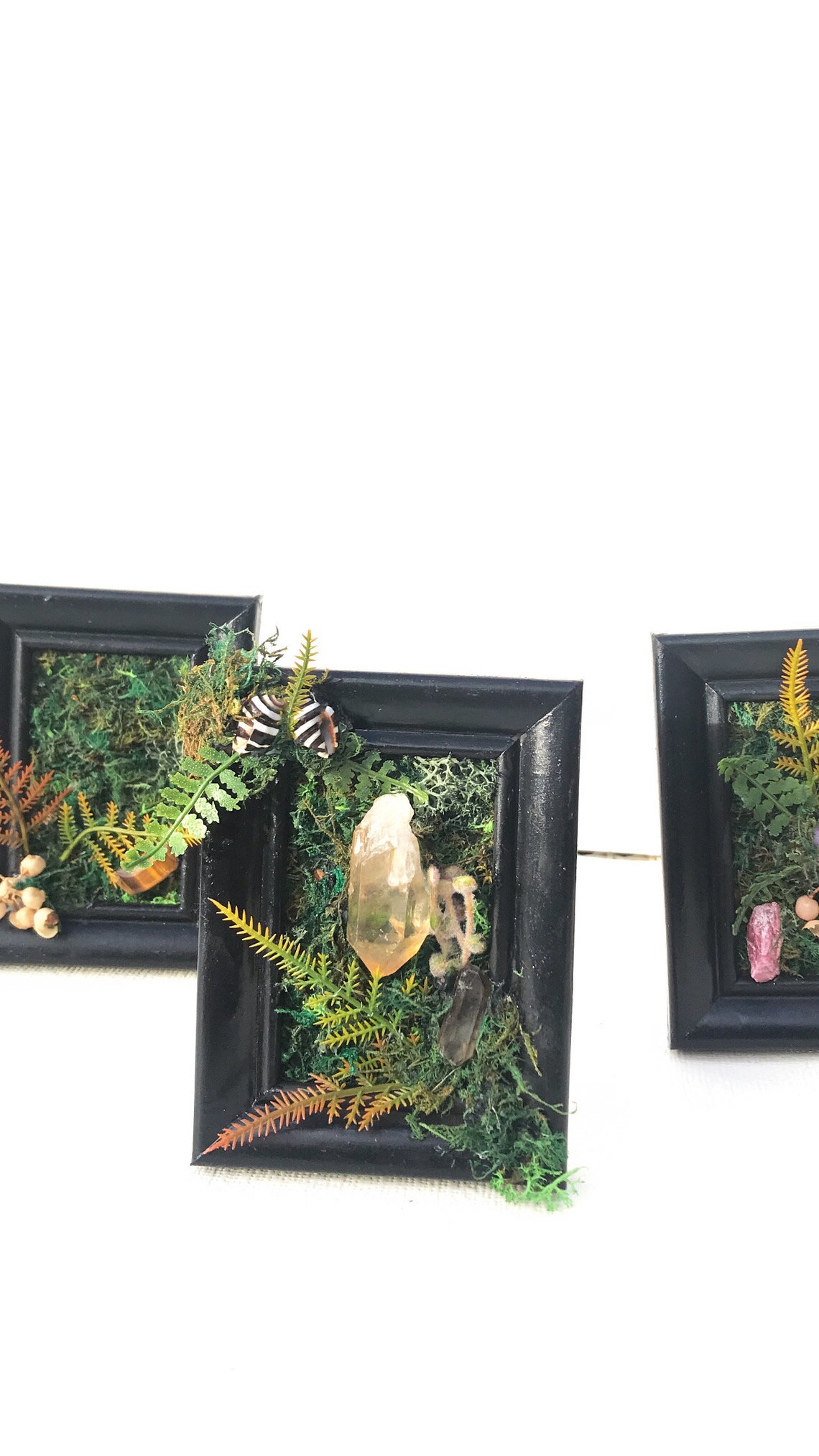 Woodland Foraged Frame Botanical Decor Herb Nature Wall Art Crystal ...