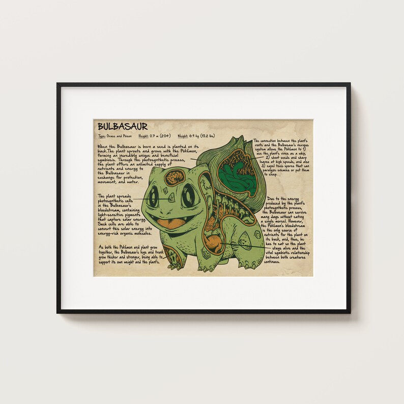 Pokemon Anatomy Poster, Pokemon Poster Bulbasaur Anatomy, Bulbasaur ...