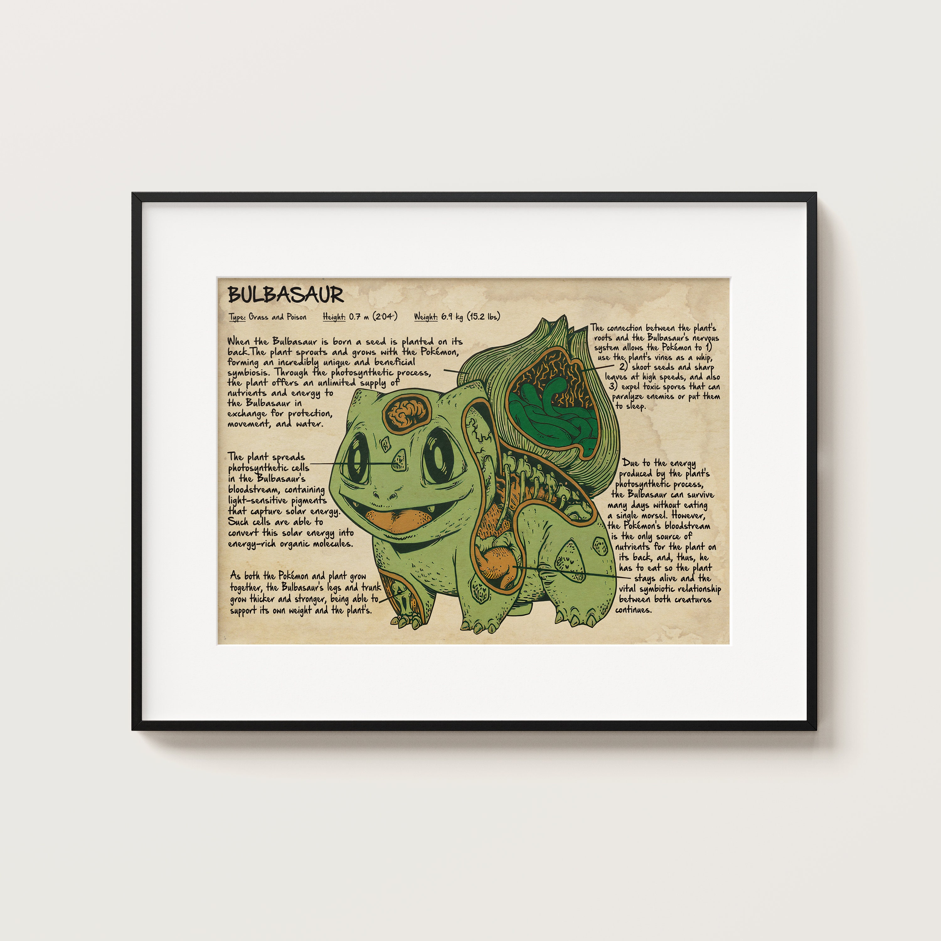 Pokemon Anatomy Poster, Pokemon Poster Bulbasaur Anatomy, Bulbasaur ...