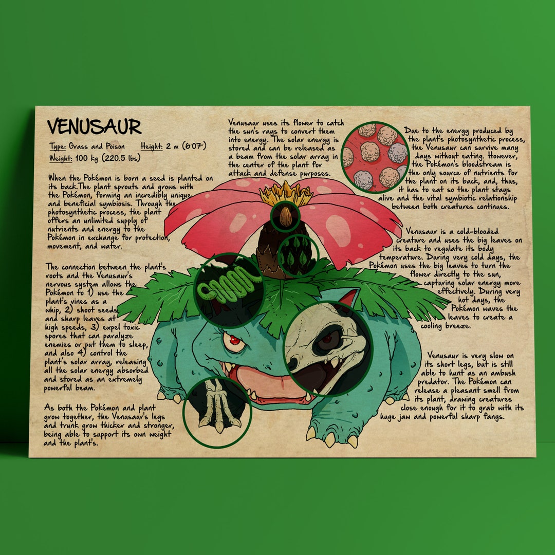 Venusaur Pokemon Anatomy Poster, Pokemon Poster Venusaur Anatomy ...