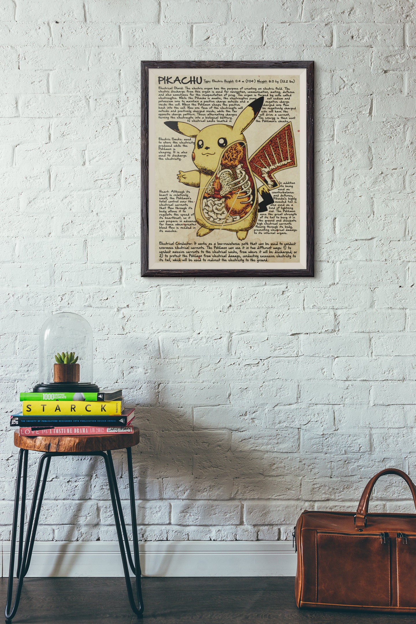 Pokemon Anatomy Poster, Pokemon Poster Pikachu Anatomy, Pikachu Anatomy ...