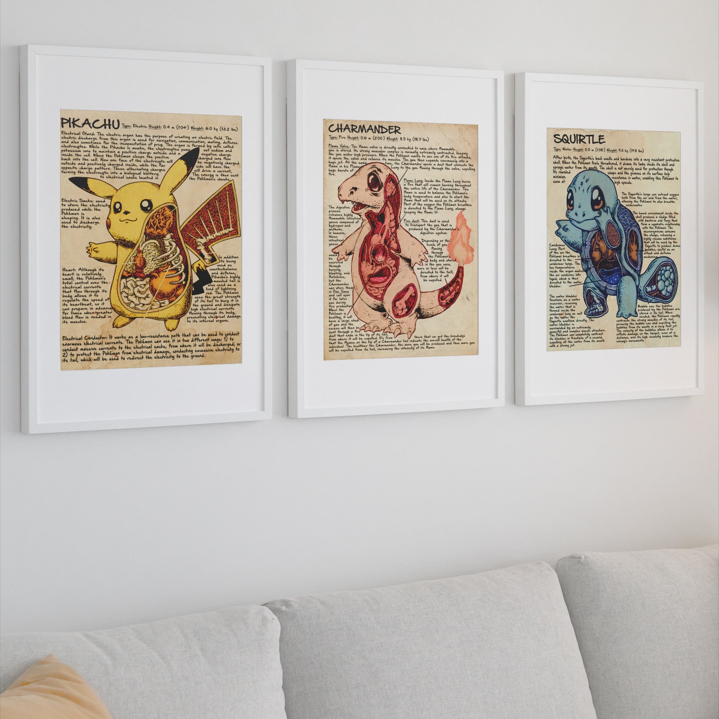 Pokemon Anatomy Poster, Pokemon Poster Pikachu Anatomy, Pikachu Anatomy ...