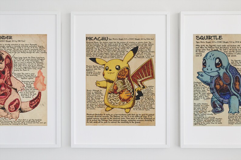 Pokemon Anatomy Poster, Pokemon Poster Pikachu Anatomy, Pikachu Anatomy ...