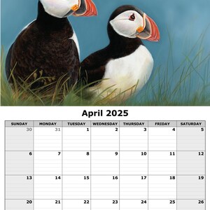 Natural Wonders Calendar 2025, Nature, Hares, Wildlife, Art, Calendar ...