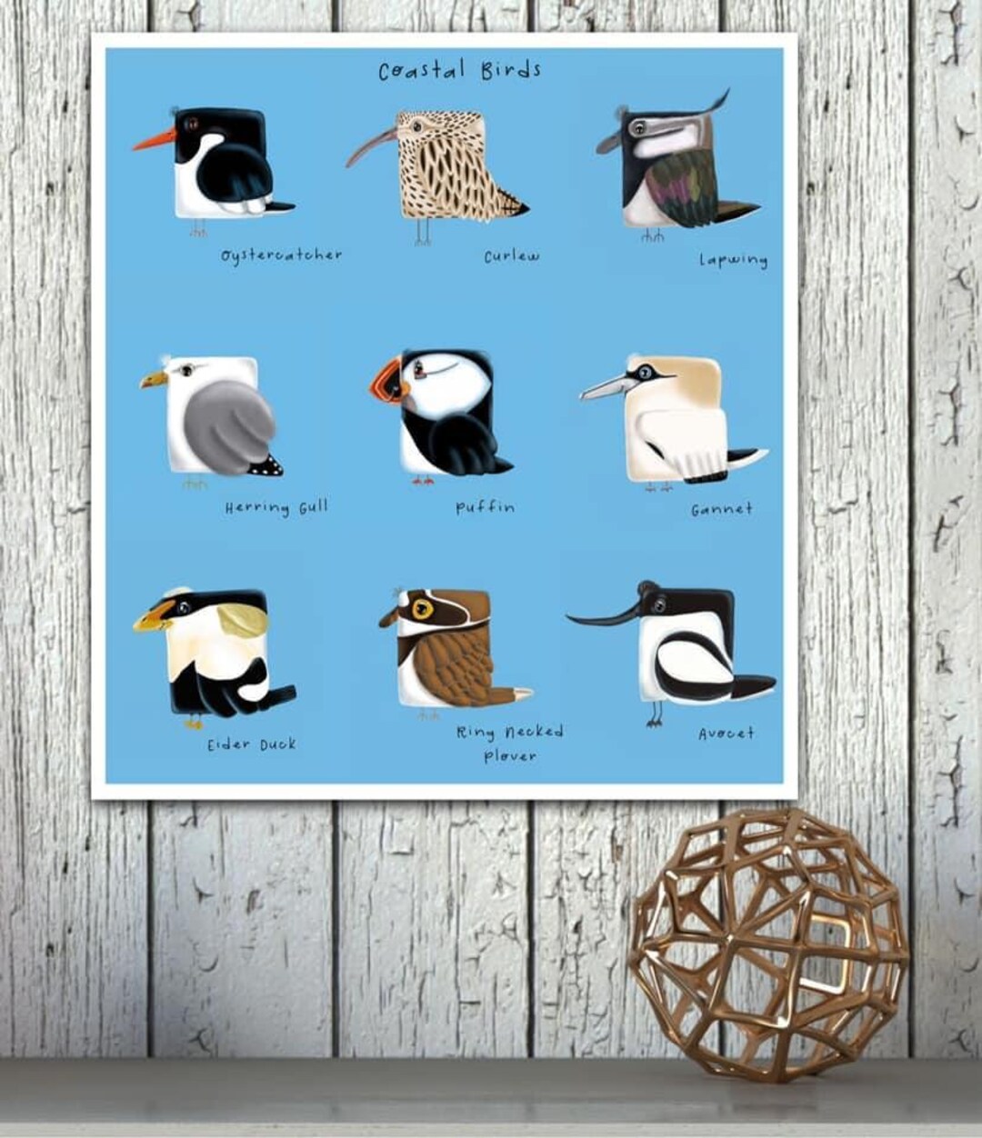 Coastal Birds Print, Coastal Bird, Coastal Birds, Sea Bird, Sea Birds ...