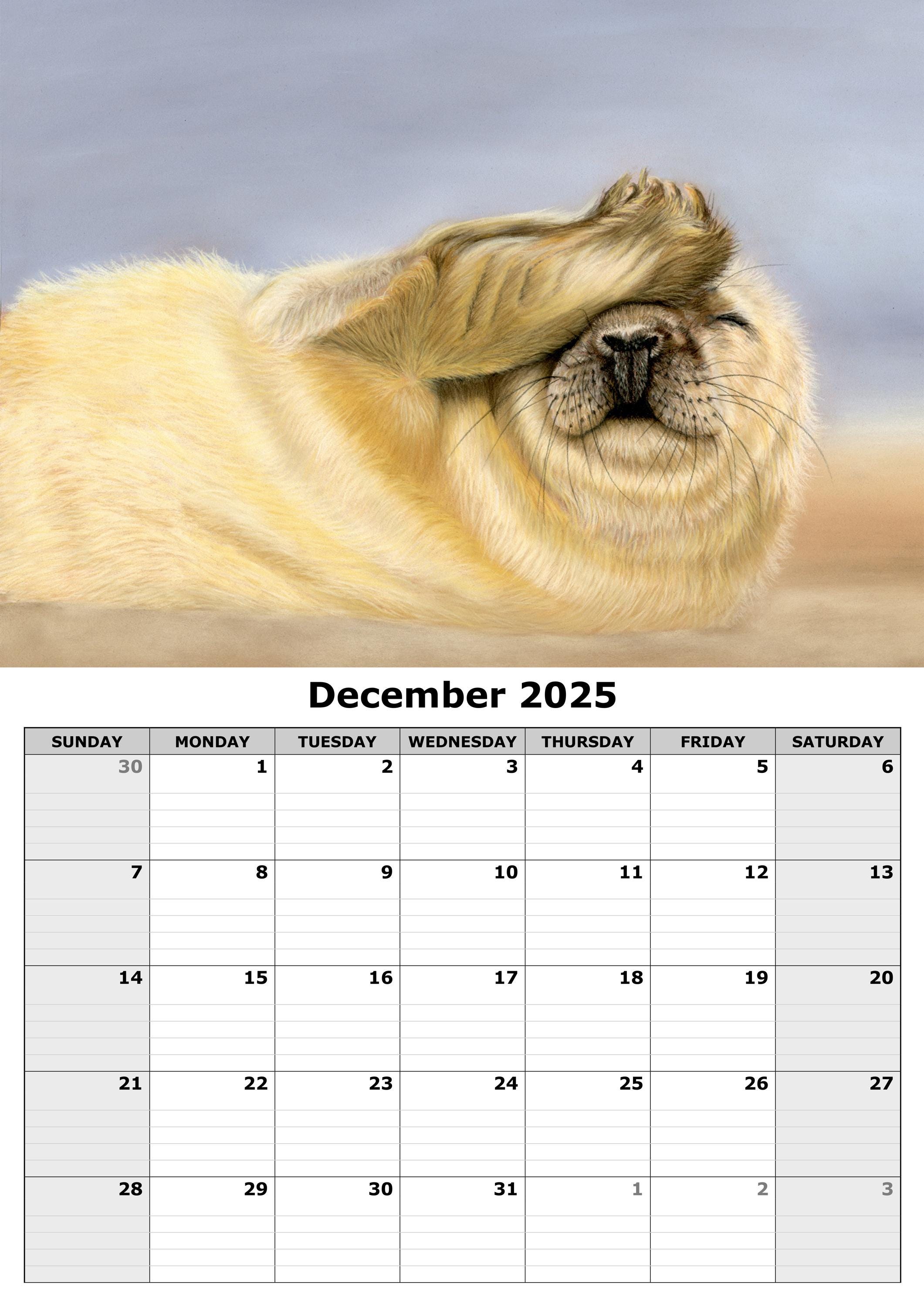 Natural Wonders Calendar 2025, Nature, Hares, Wildlife, Art, Calendar ...