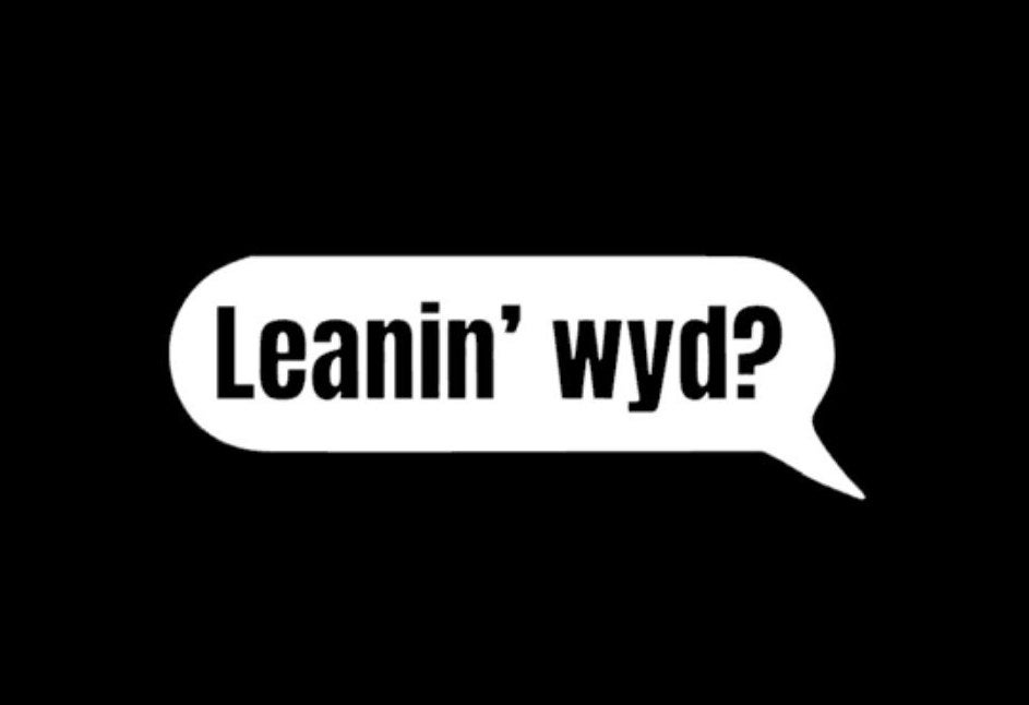 Leanin Wyd? Decal/truck Decal/car Decal/squatted Truck Decal - Etsy