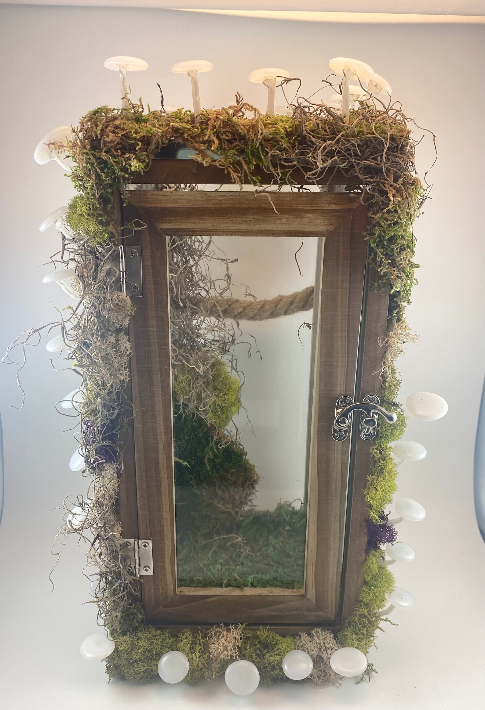 Mushroom Display With Light up Mushrooms - Etsy